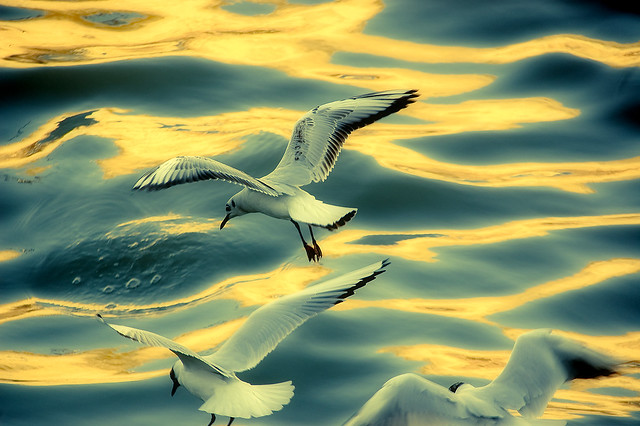 How to Develop a Wasserstein Generative Adversarial Network (WGAN) From ... How to Develop a Wasserstein Generative Adversarial Network (WGAN) From ...