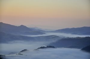 How to Perform Face Recognition With VGGFace2 in Keras – AiProBlog.Com