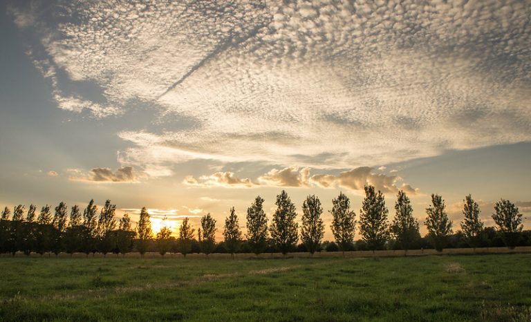 SMOTE Oversampling for Imbalanced Classification with Python ...